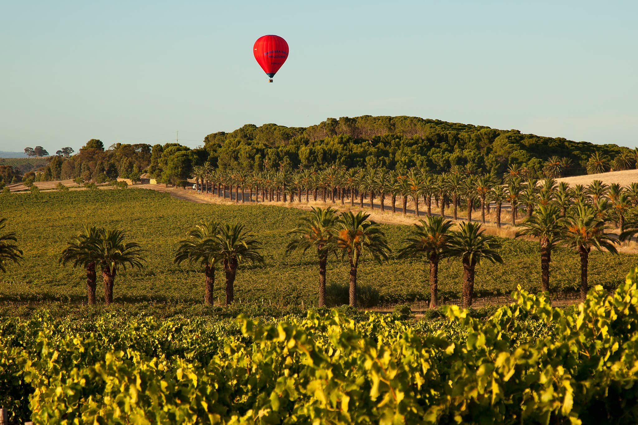 Find out How to Get to The Barossa. Plan With These Helpful Resources