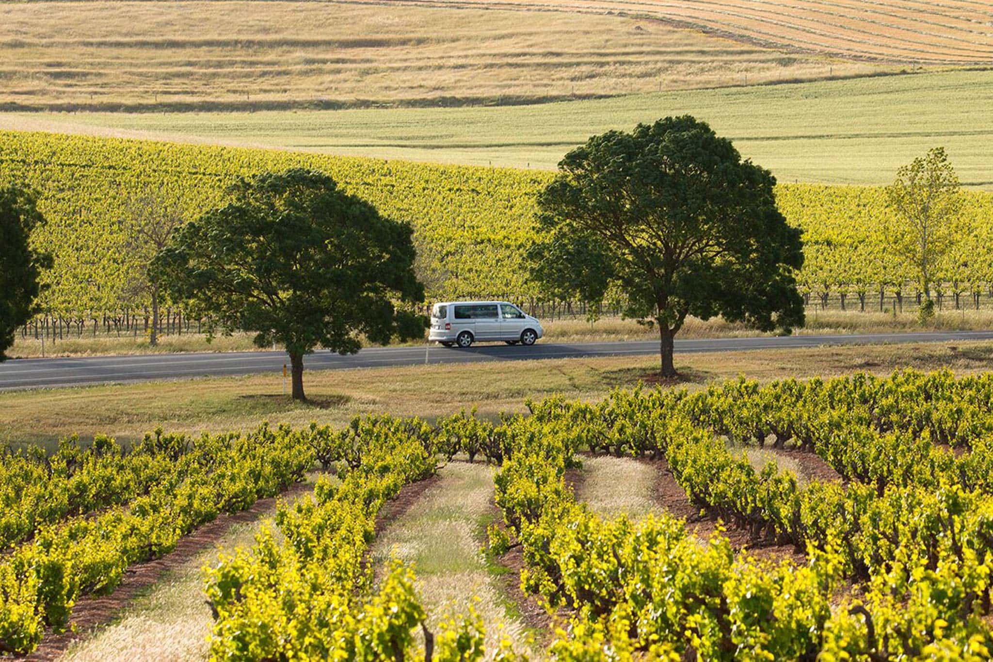Barossa Taste Sensations - Stonewell Cottages & Vineyards